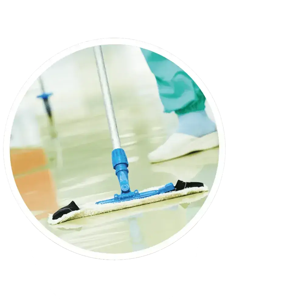 imshygiene.com, we are wholesaler and distributor of cleaning, hygiene ...