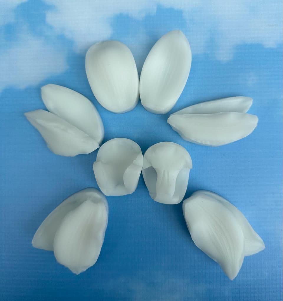 Cymbidium Orchid Veiner Set by Sugar Design