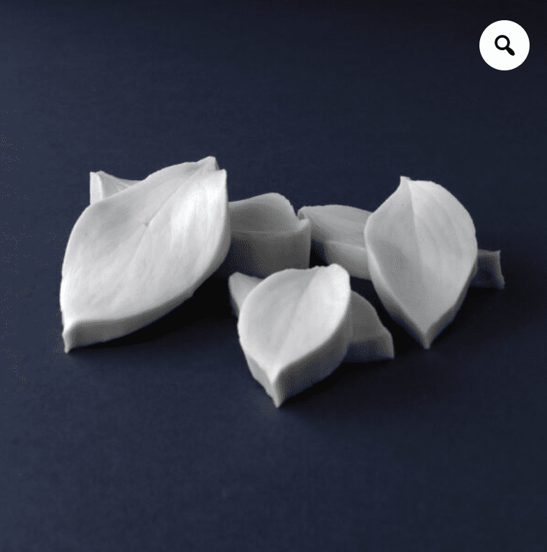 Ruscus Leaf Small Veiner Set of 3 By Robert Haynes was 27 25 now less 35 17 71