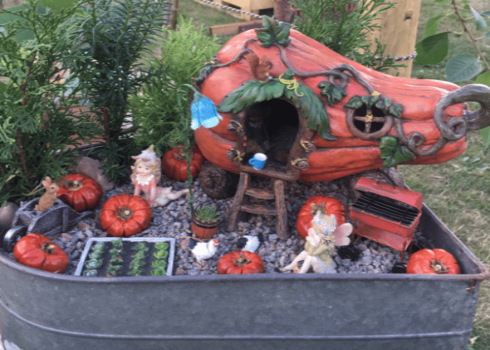 Autumn Butternut squash garden in a wheelbarrow