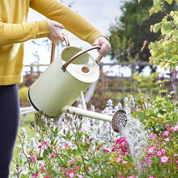Galvanised Steel Country Cream Watering Can - 9L.