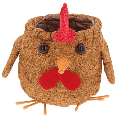 Garden Chicken - Coir Garden Planter - 20cm.