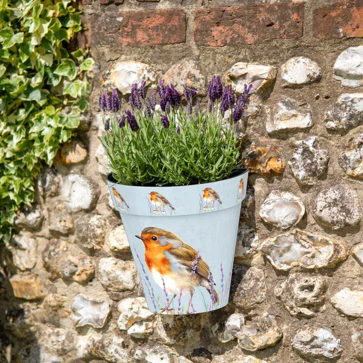 Garden Robin - Wall Planter 25cm - Made From Recycled Plastic.