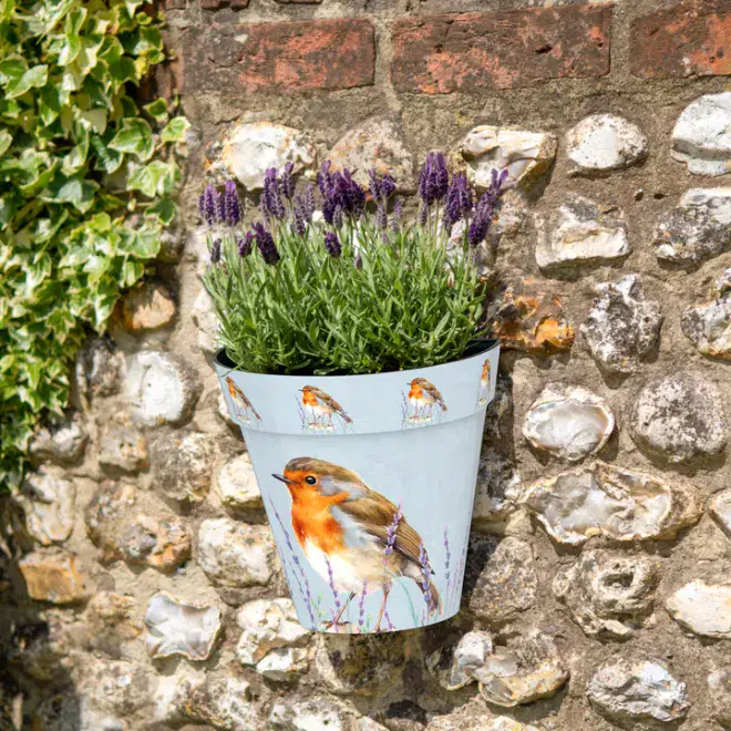 Garden Robin - Wall Planter 25cm - Made From Recycled Plastic.