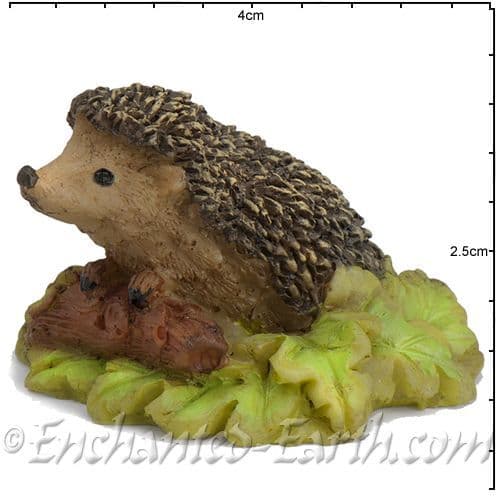 Georgetown Fiddlehead - Woodland Hedgehog in leaves - 3cm.