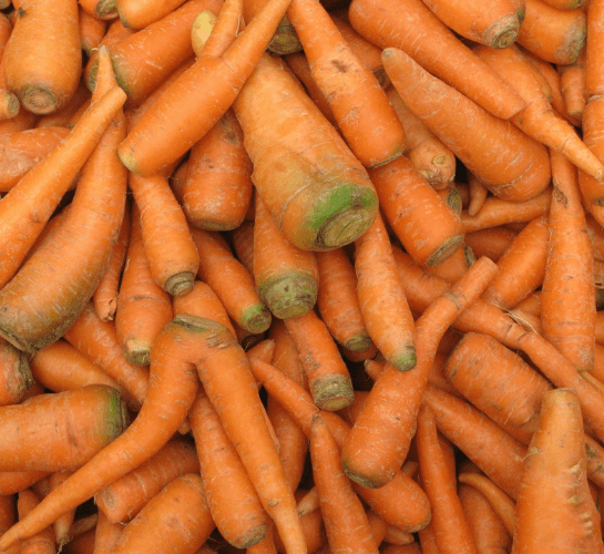 Organic Large Carrots.