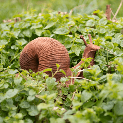 Large Cast Iron Snail - 30cm.