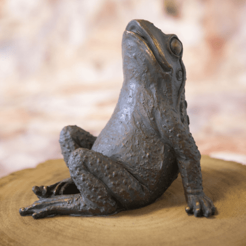 Large Moon Gazing Frog.