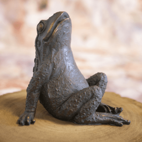 Large Moon Gazing Frog.