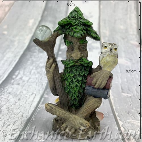 Magical Wise Old Tree Ent with Owl - Sitting with staff on the left.