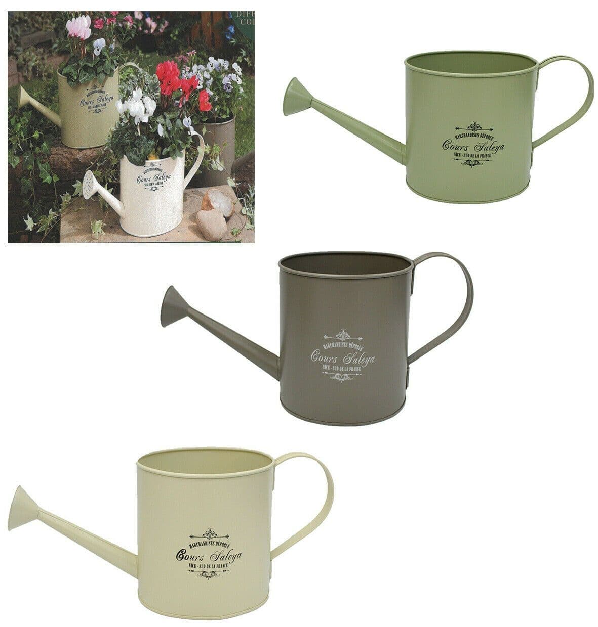 Vintage Style Watering can Planters - Choose from 3 colours.