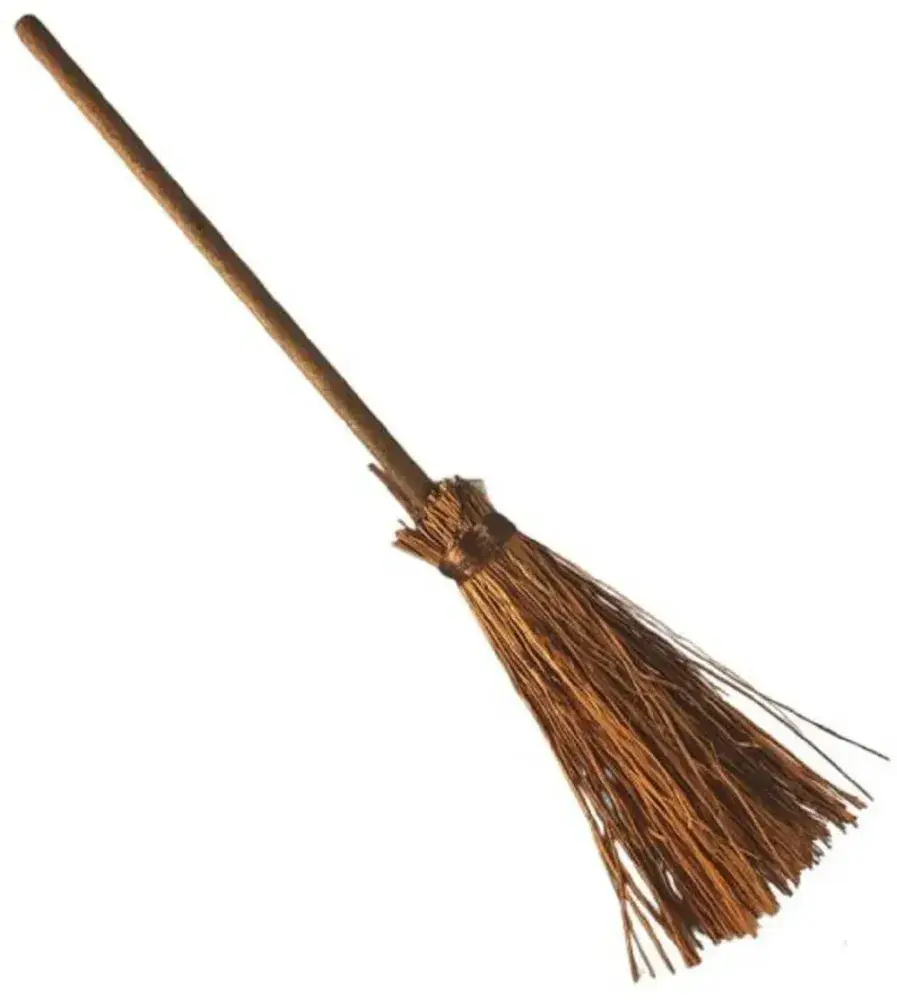 Fairy Garden Natural Witches Broom.