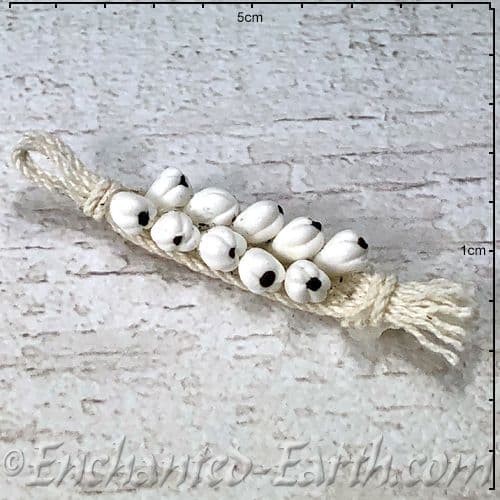 Miniature Garden - String or Garlic - 5cm,