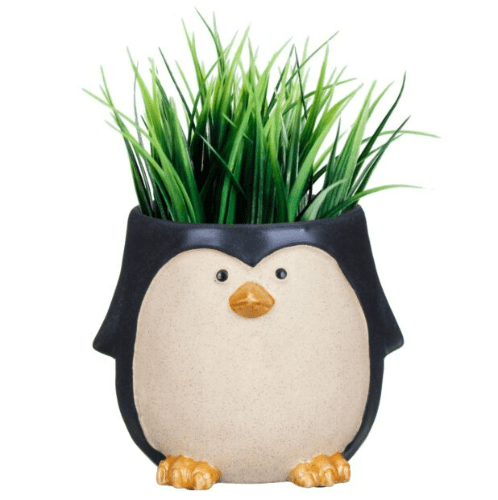 Penguin Plant Pot - 10cm.