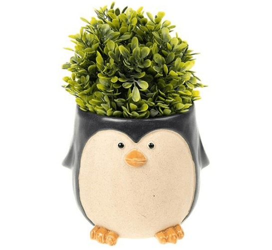 Penguin Plant Pot - Medium 10cm.