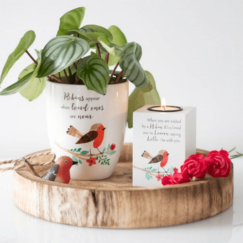Robin Ceramic Plant Pot - 15cm.