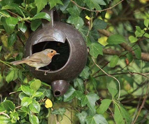 Robin Teapot Nester - Gift Boxed.