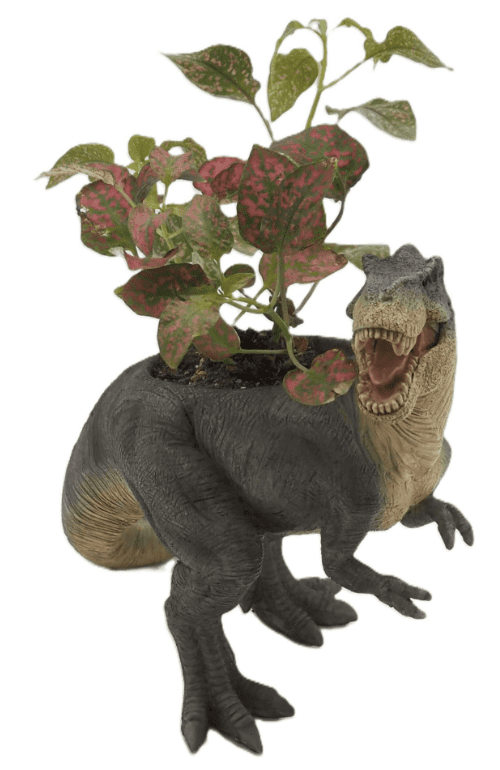 T-Rex Dinosaur Planter.