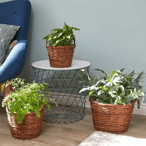 Trio of Planting Baskets - 3 Natural Willow Planters.