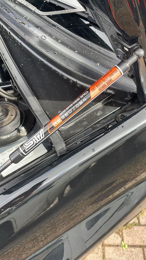 Bonnet Strut Sticker