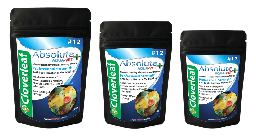 Cloverleaf Aqua-Vet Bacterial Recovery Treatment