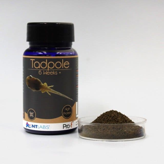 Nt Labs Pro F Tadpole 50g