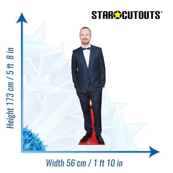 AARON PAUL LIFE SIZE CARDBOARD CUT OUT