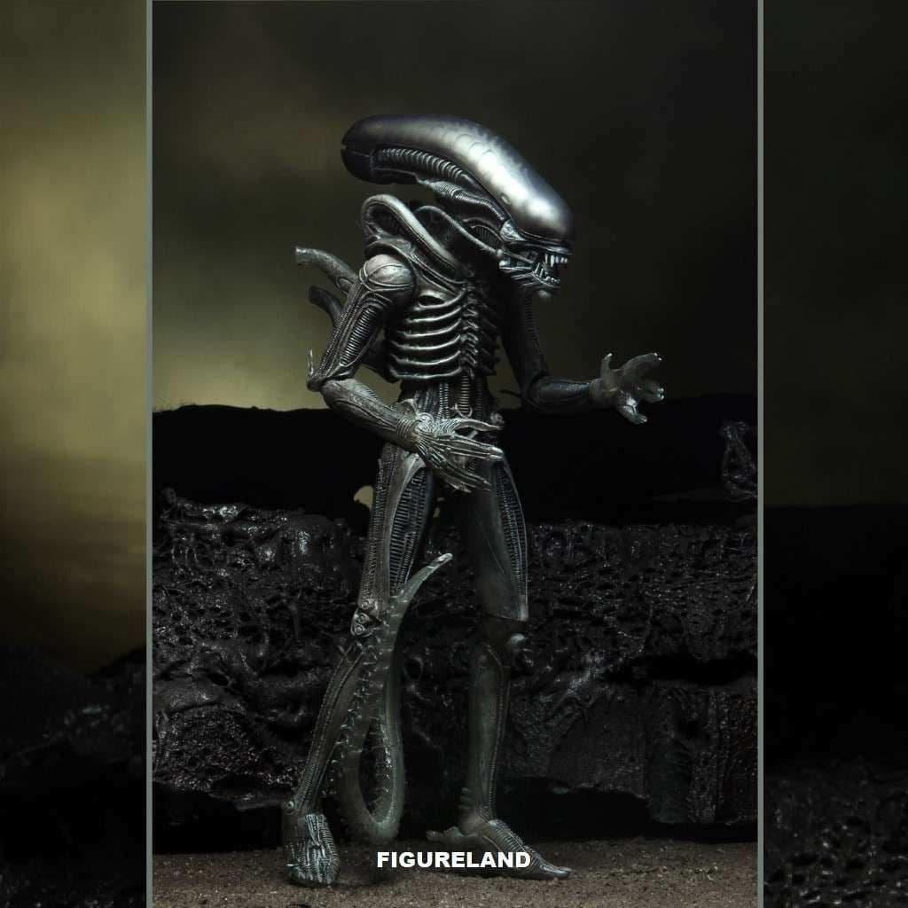 ALIEN 40TH ANNIVERSARY WAVE 4 HR GIGERS ALIEN ACTION FIGURE FROM NECA