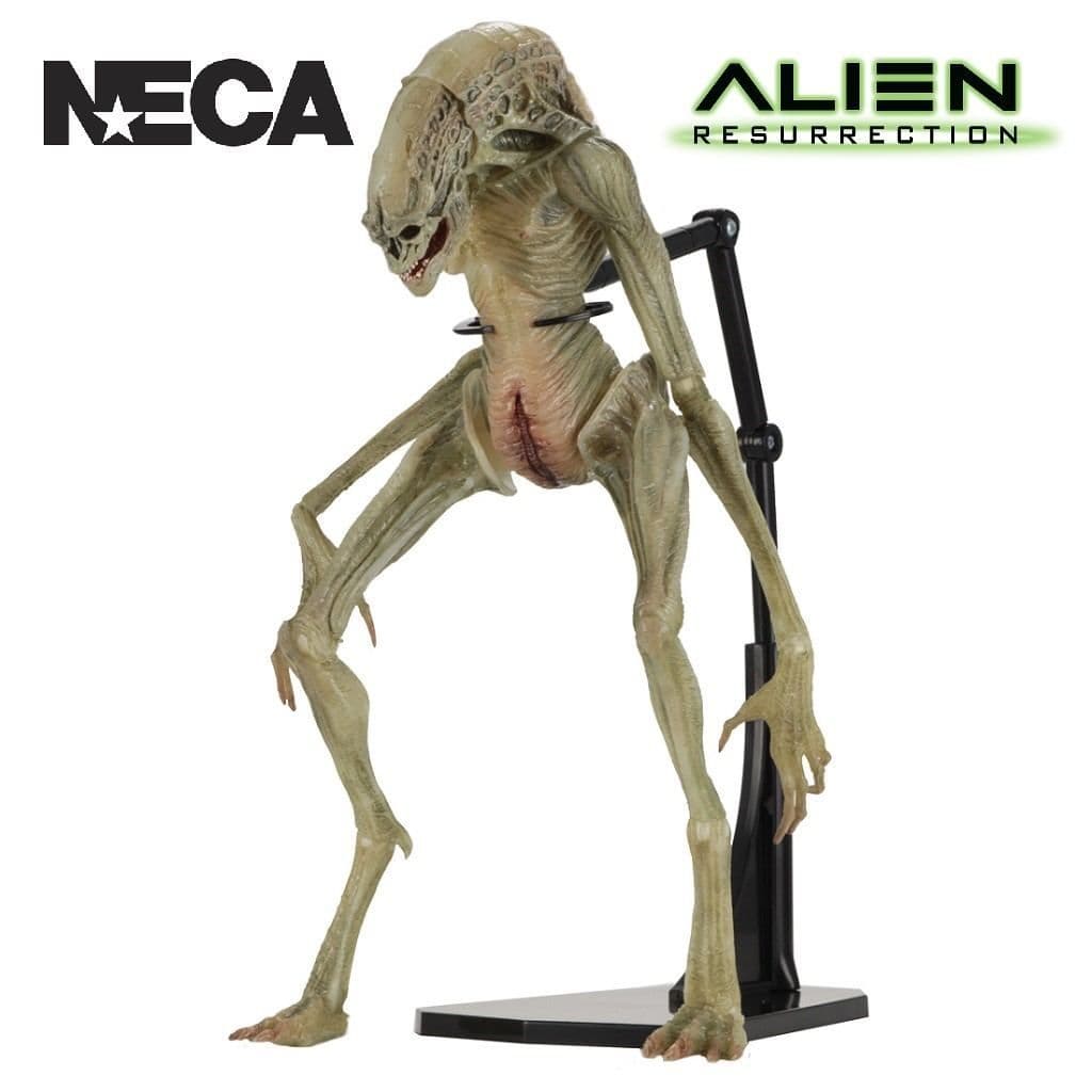 Human Alien Hybrid What Is 'The Offspring' Creature In The 'Alien: