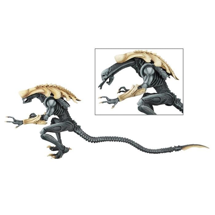ALIEN VS PREDATOR ARCADE APPEARANCE CHRYSALIS ALIEN ACTION FIGURE FROM NECA