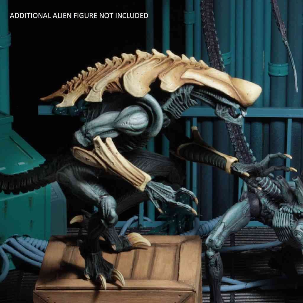 ALIEN VS PREDATOR ARCADE APPEARANCE CHRYSALIS ALIEN ACTION FIGURE FROM NECA