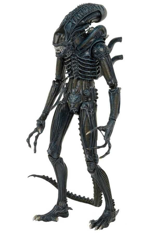 ALIENS 1 4 SCALE 1986 ALIEN WARRIOR ACTION FIGURE FROM NECA