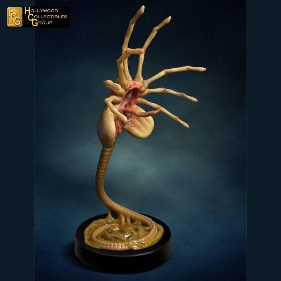 ALIENS FACEHUGGER 1 1 SCALE LIFE SIZE REPLICA FROM HOLLYWOOD ...