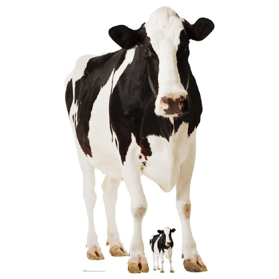 ANIMALS COW CARDBOARD CUT OUT