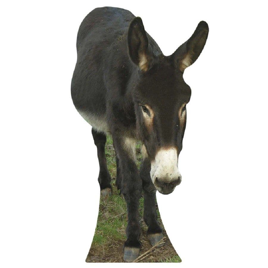 ANIMALS DONKEY CARDBOARD CUT OUT