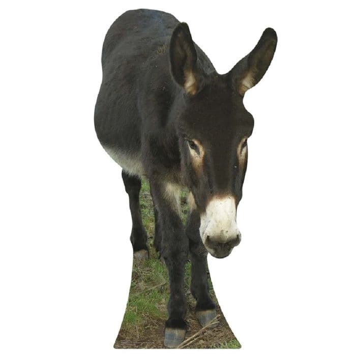 ANIMALS DONKEY CARDBOARD CUT OUT