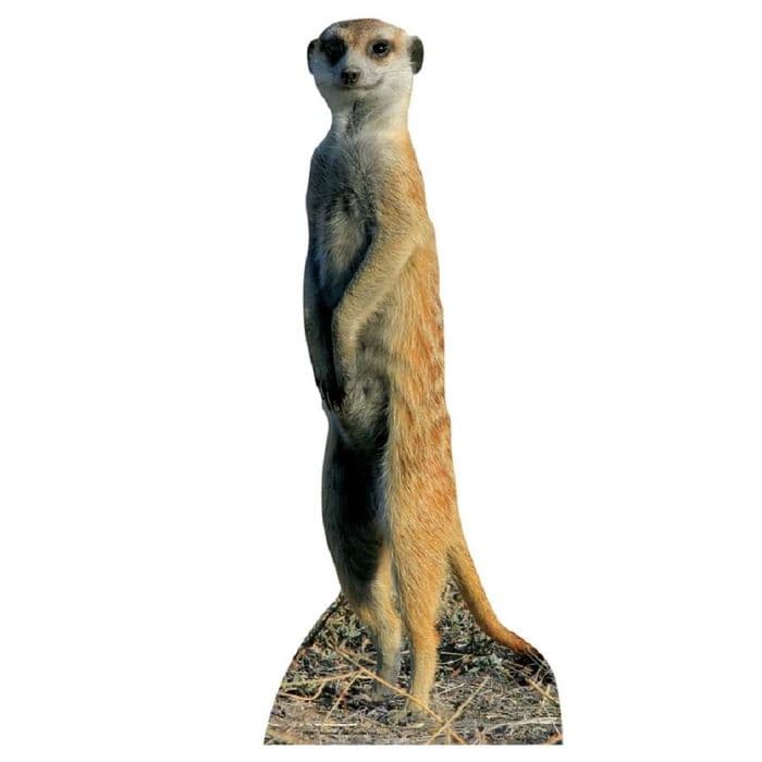 ANIMALS MEERKAT CARDBOARD CUT OUT