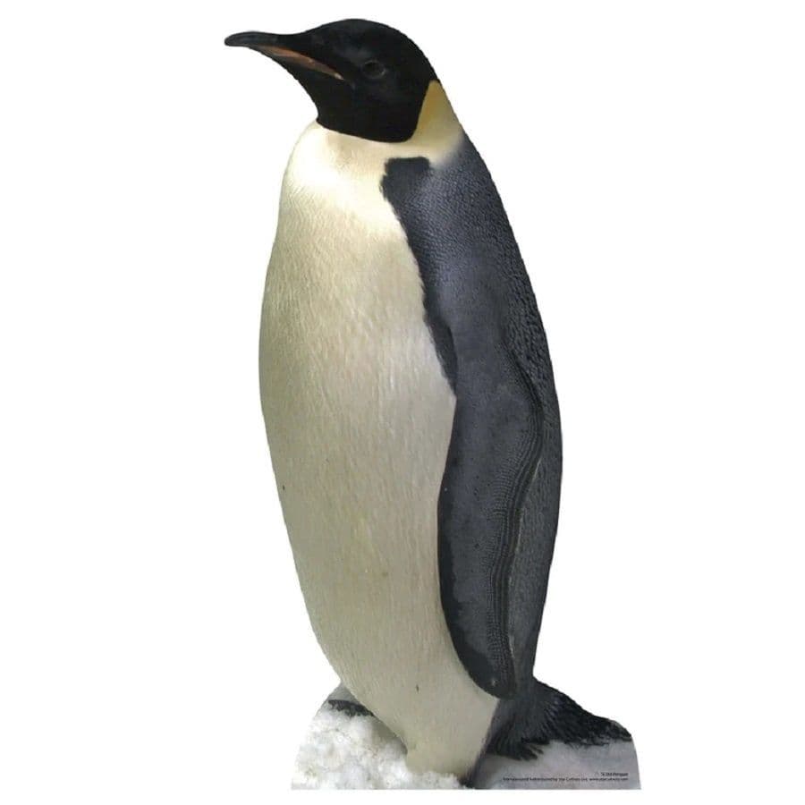 ANIMALS PENGUIN CARDBOARD CUT OUT
