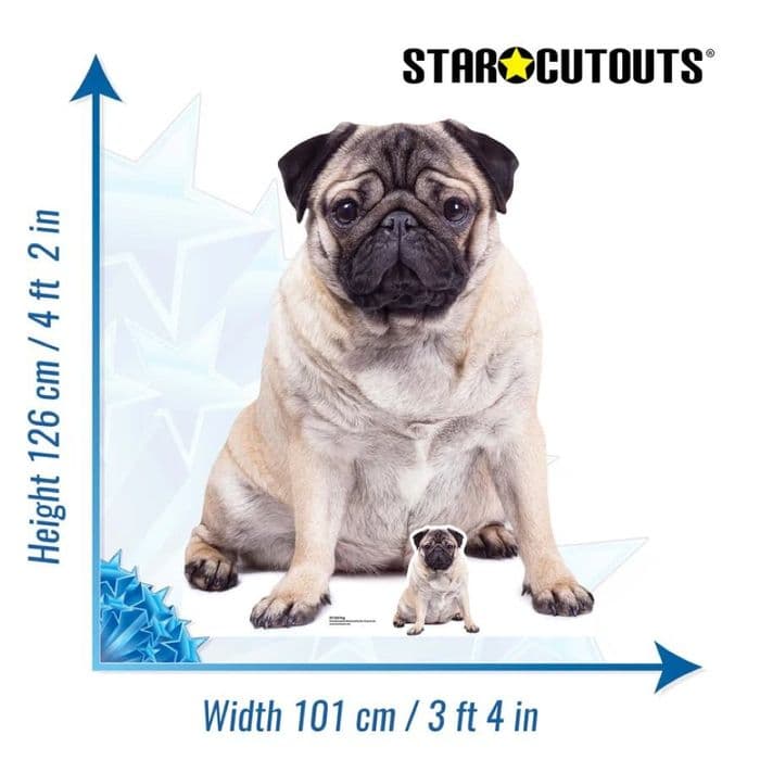 ANIMALS PUG CARDBOARD CUT OUT