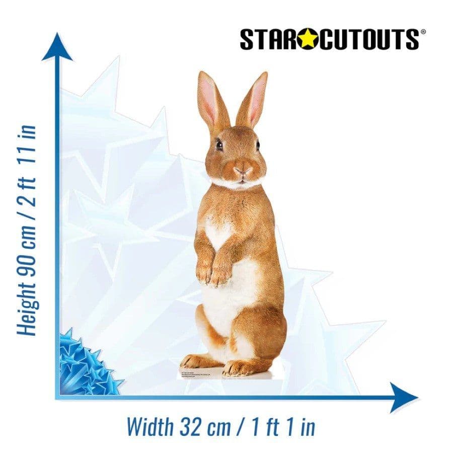 ANIMALS RABBIT CARDBOARD CUT OUT
