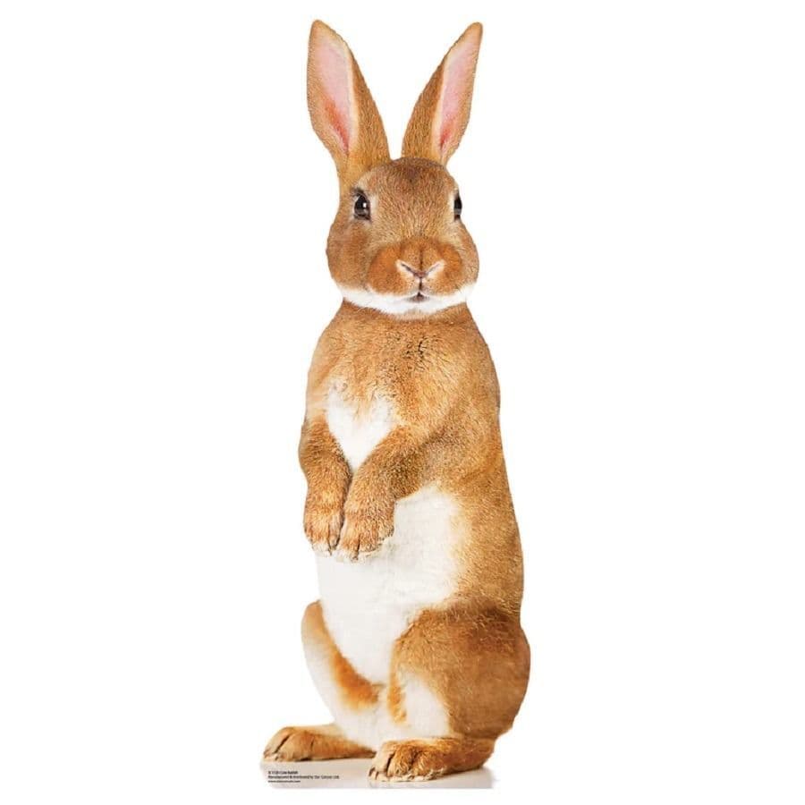 ANIMALS RABBIT CARDBOARD CUT OUT