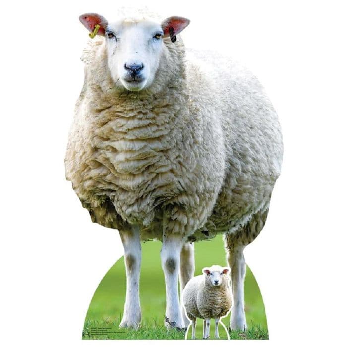 ANIMALS SHEEP CARDBOARD CUT OUT