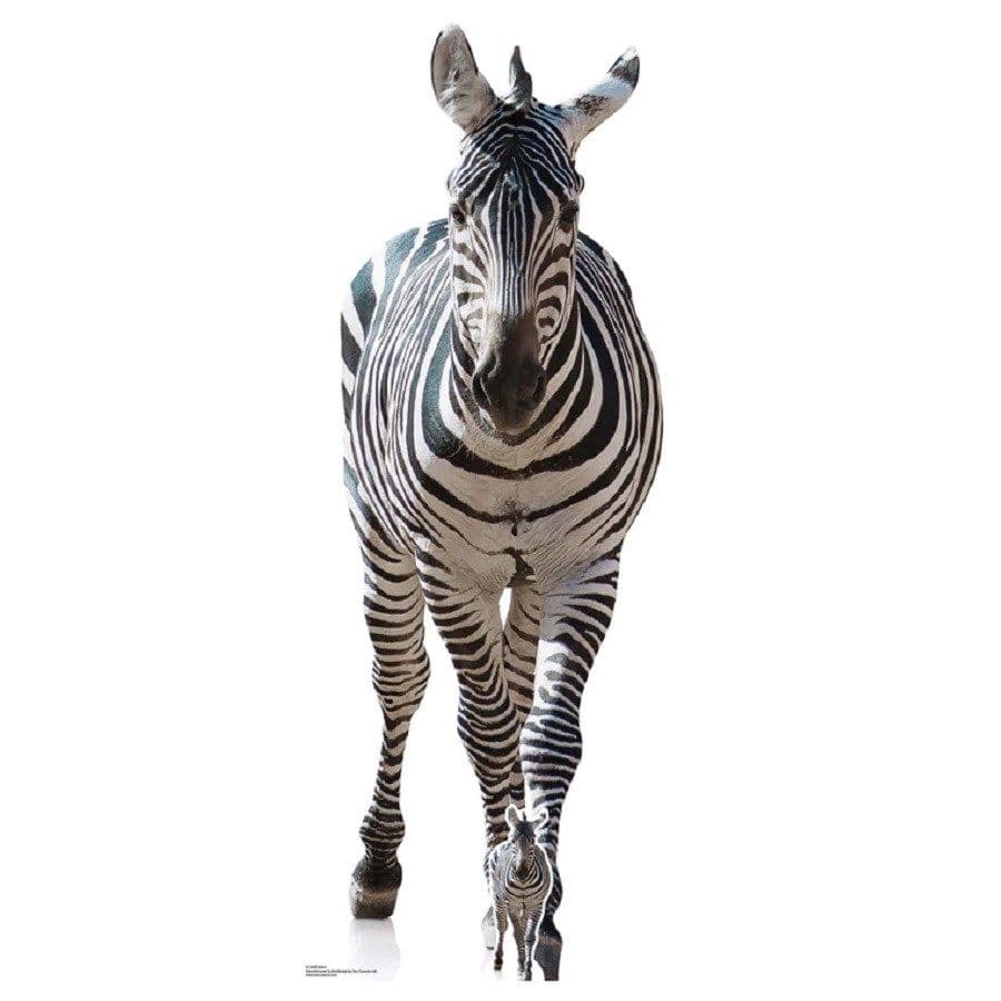 ANIMALS ZEBRA CARDBOARD CUT OUT