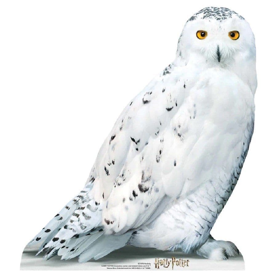 HARRY POTTER HEDWIG CARDBOARD CUT OUT