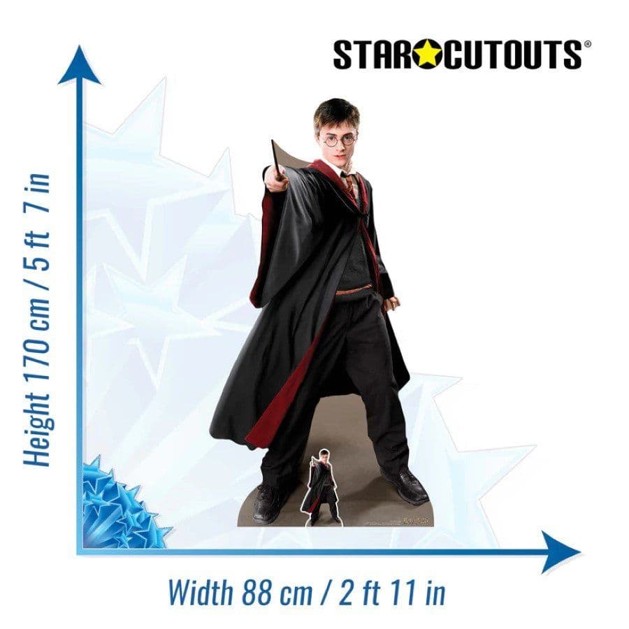 HARRY POTTER QUIDDITCH CAPTAIN LIFE SIZE CARDBOARD CUT OUT