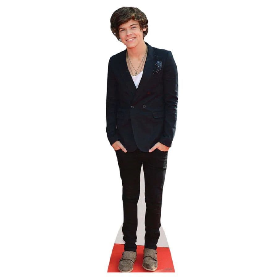 HARRY STYLES BOYBAND LIFE SIZE CARDBOARD CUT OUT