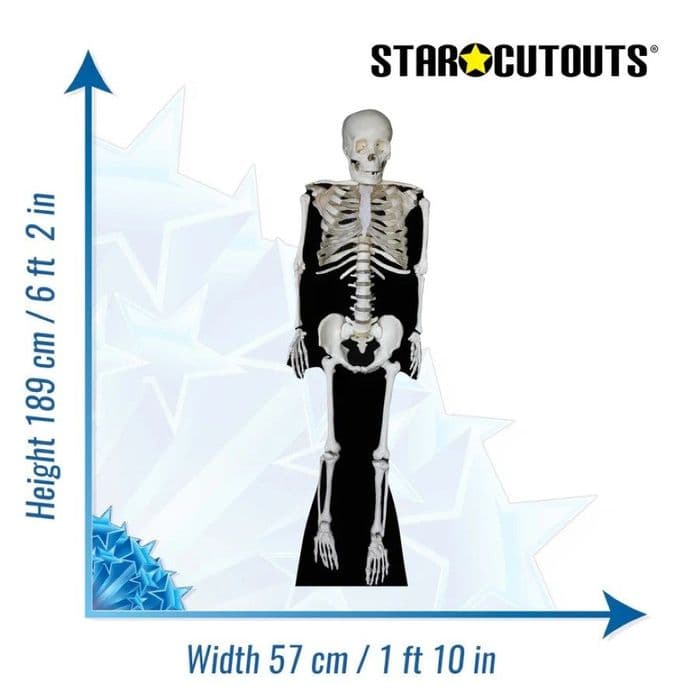 SKELETON LIFE SIZE CARDBOARD CUT OUT
