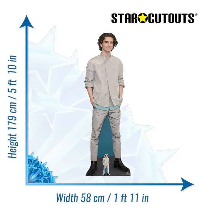 TIMOTHEE CHALAMET LIFE SIZE CARDBOARD CUT OUT