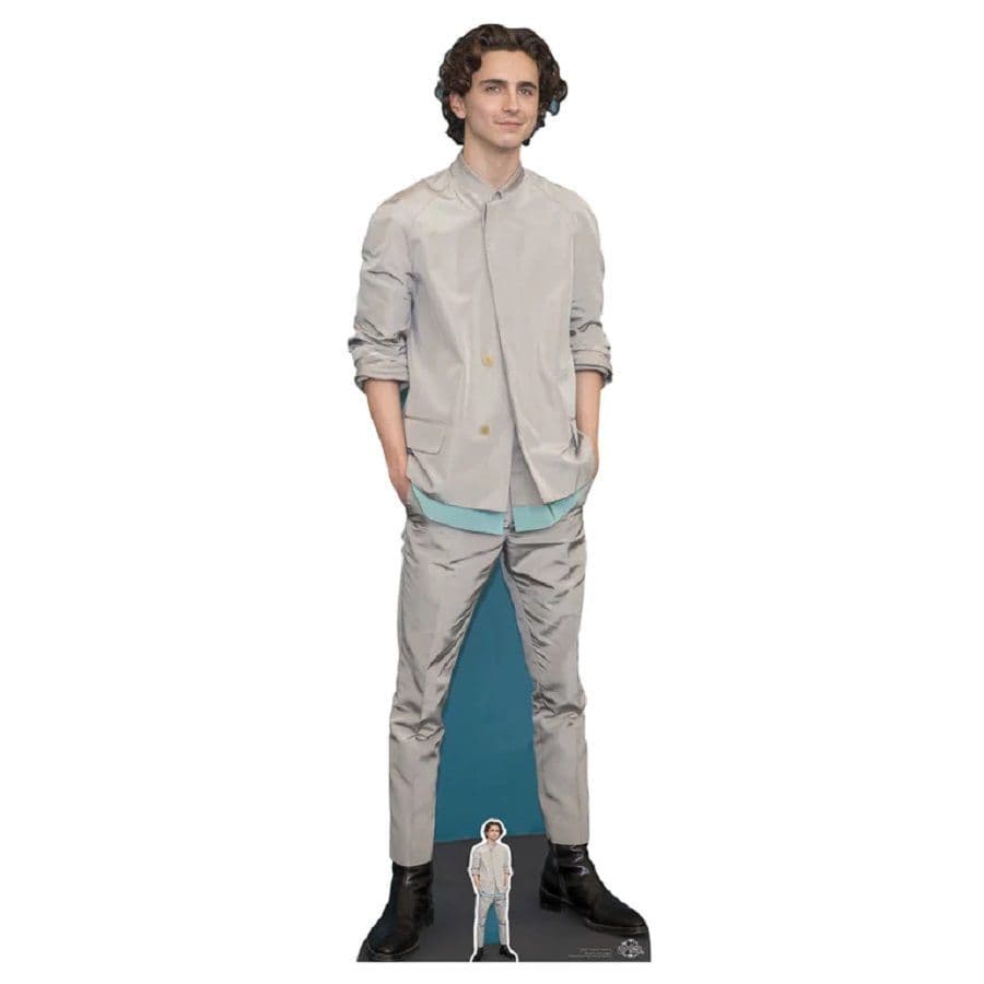 TIMOTHEE CHALAMET LIFE SIZE CARDBOARD CUT OUT