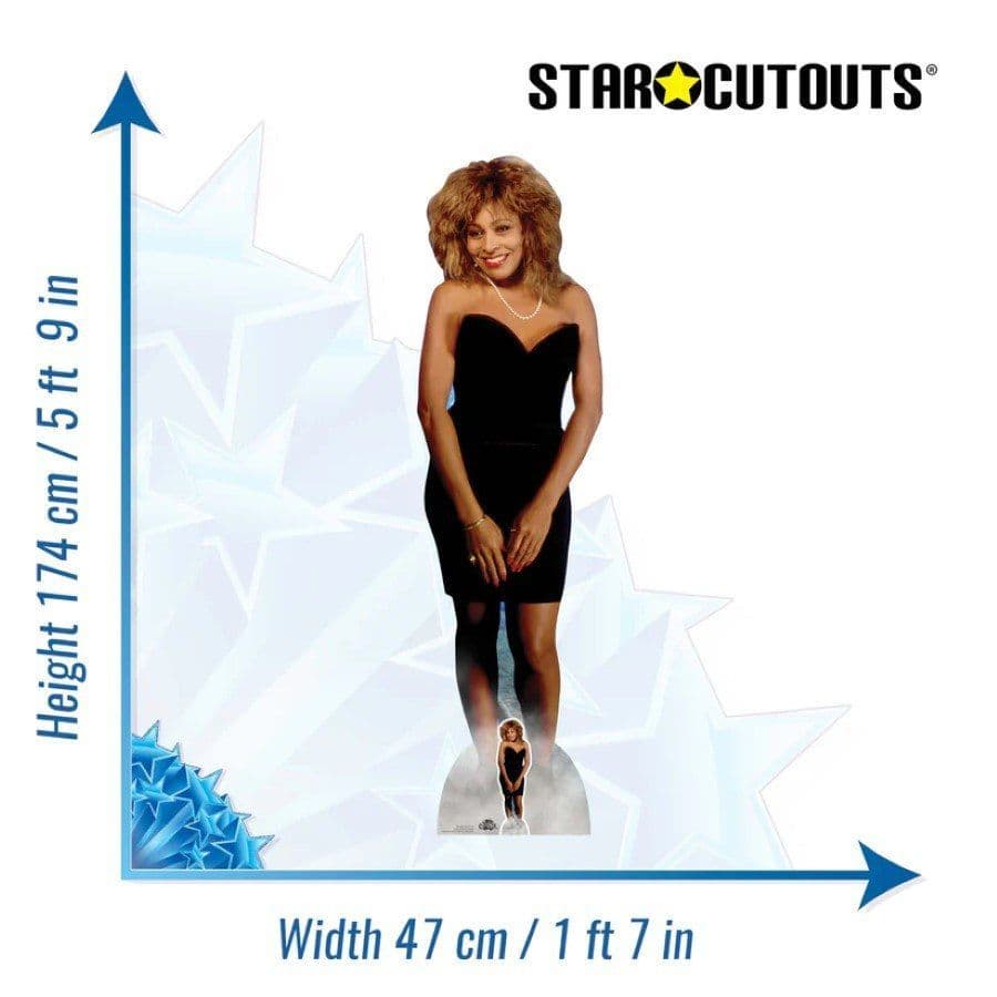 TINA TURNER LIFE SIZE CARDBOARD CUT OUT